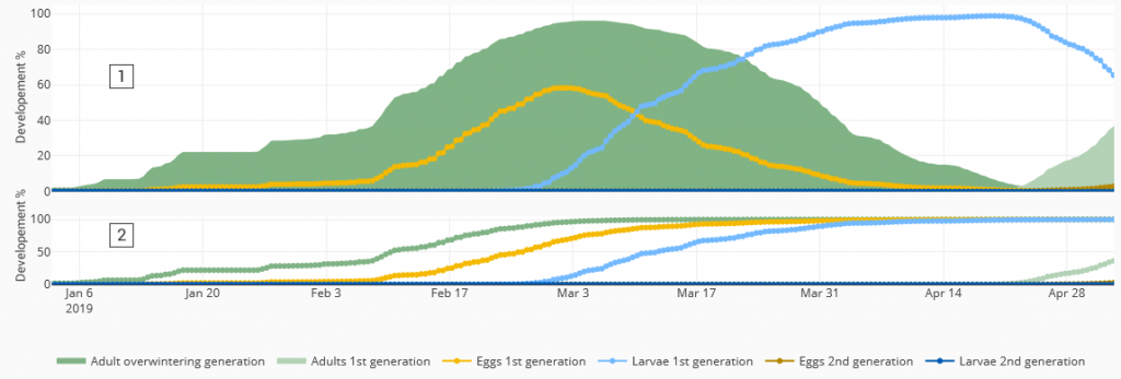 Pear psylla – fruitweb