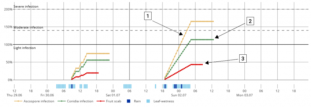 Apple Scab Secondary Infections – fruitweb